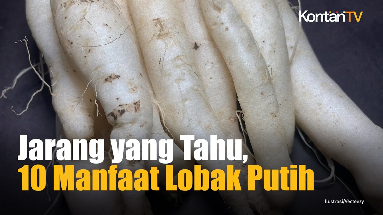 Video: 10 Manfaat Lobak Putih untuk Kesehatan yang Jarang Diketahui ...