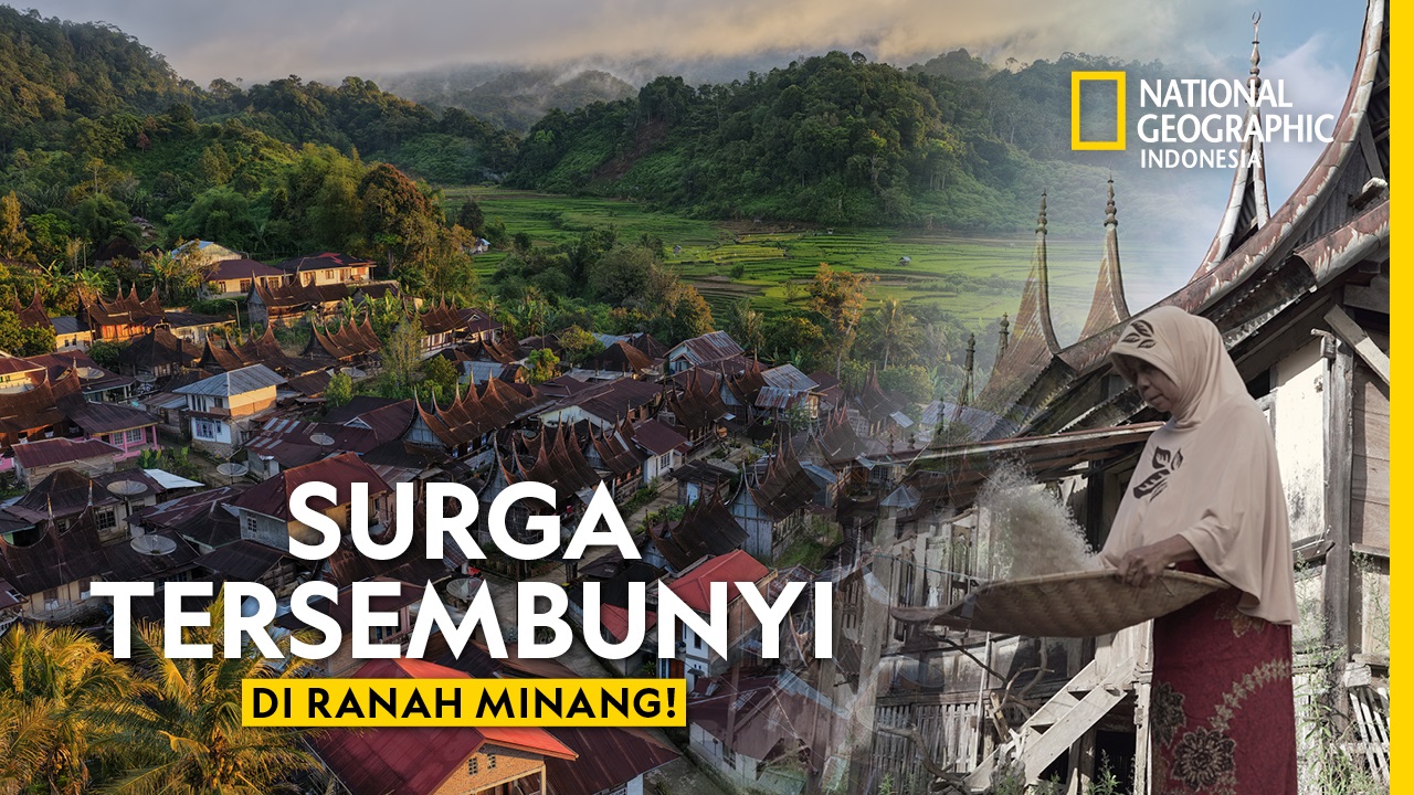 Video: Dari Desa Biasa Jadi Destinasi Favorit! Sarugo, Desa Wisata ...