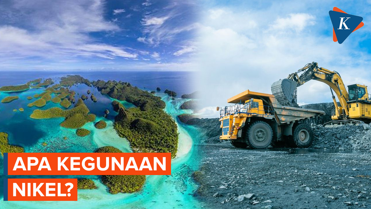 Video: Apa Itu Nikel dan Apa Fungsinya untuk Kehidupan?