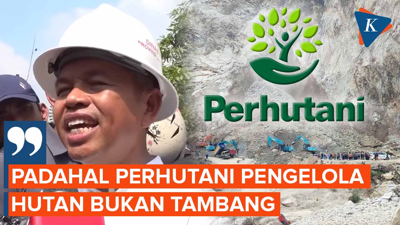 Dedi Mulyadi Sindir Perhutani di Kasus Longsor Tambang Gunung Kuda Cirebon