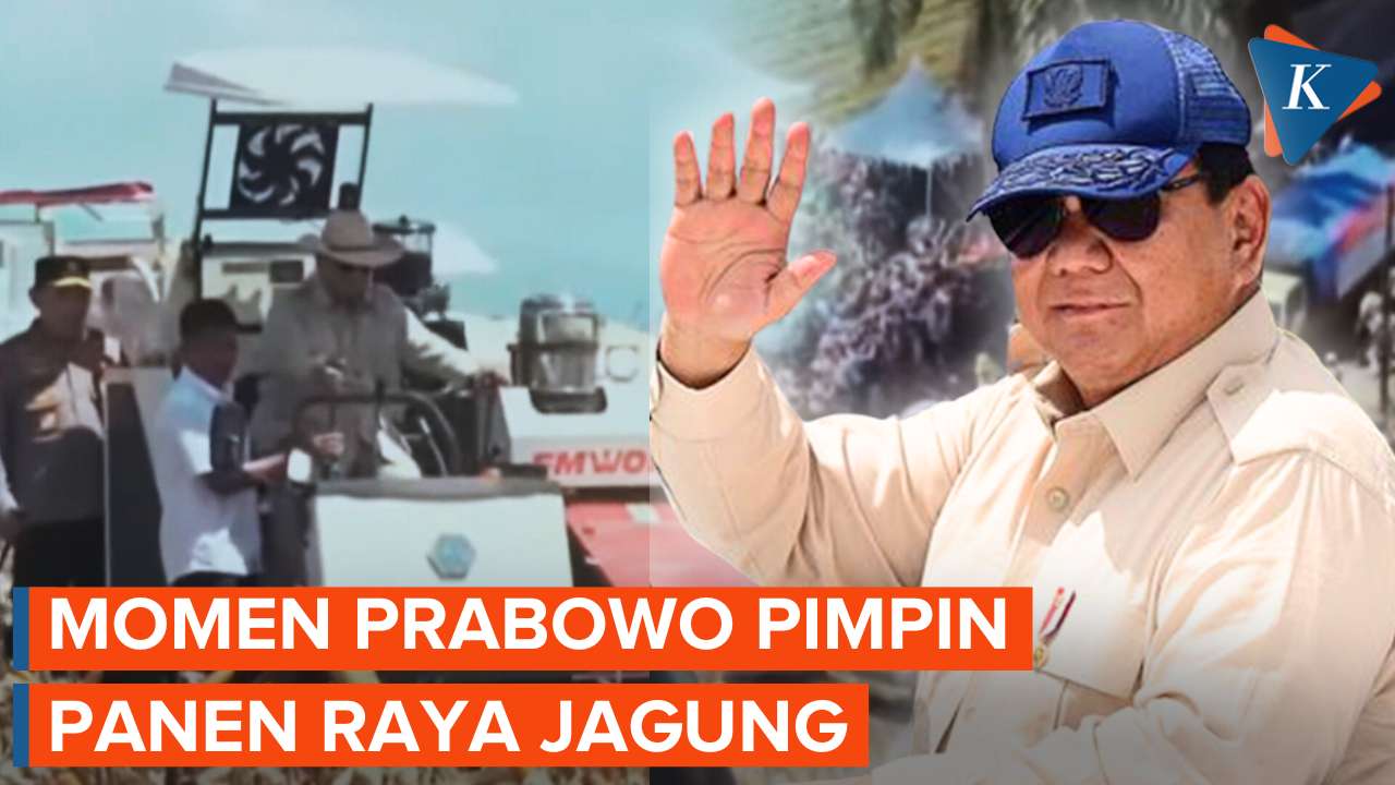 Momen Prabowo Pimpin Panen Raya Jagung Ditemani Kapolri