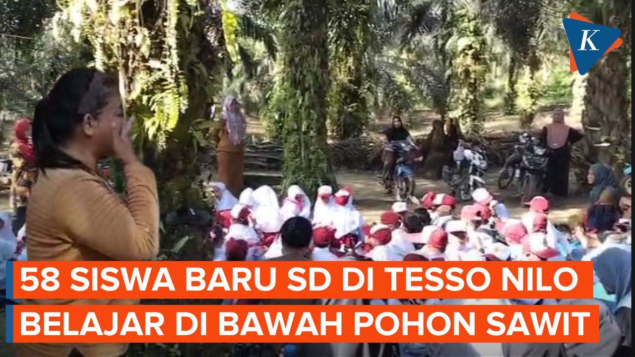 58 Siswa Baru SD di Kawasan Tesso Nilo Belajar di Bawah Pohon Sawit ...