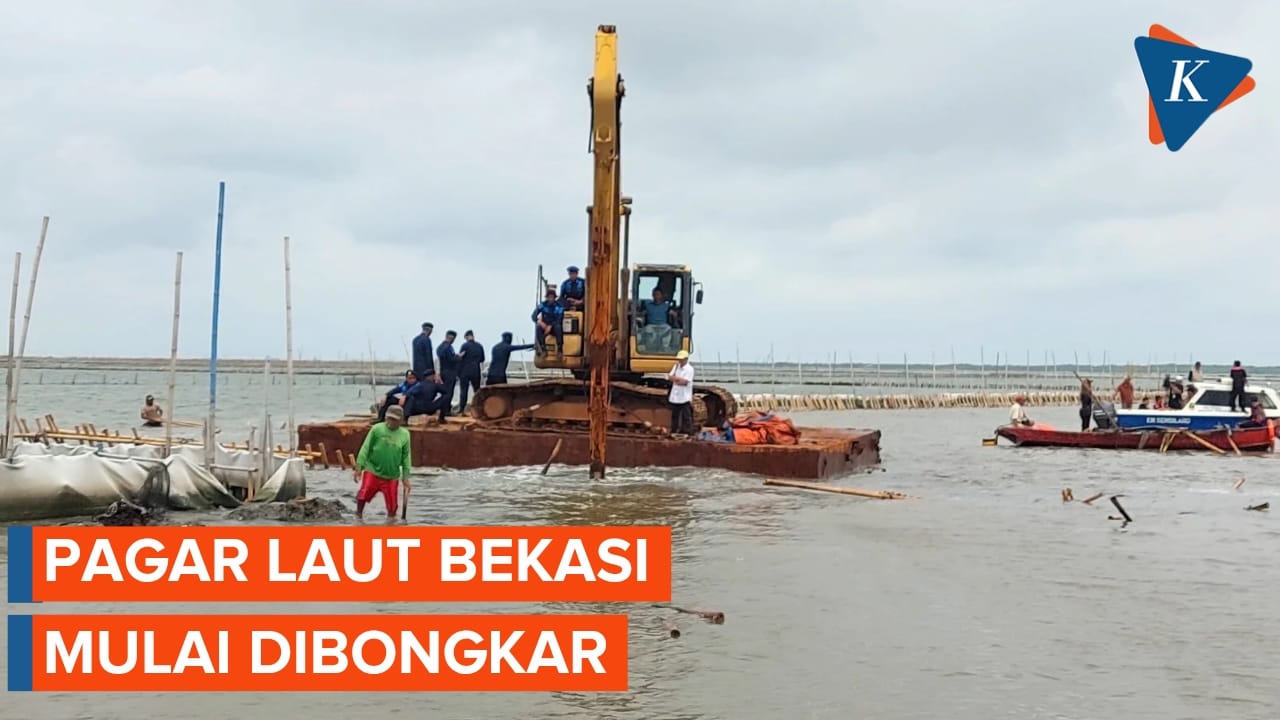 Video: Perusahaan Bongkar Mandiri Pagar Laut di Bekasi