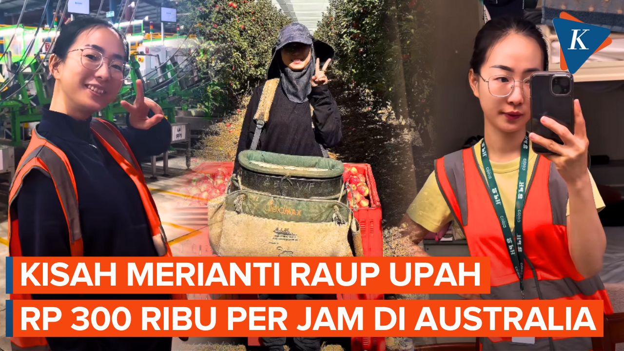 Merianti Kerja Dibayar Rp 300 Ribu Per Jam di Australia! Gimana Caranya?
