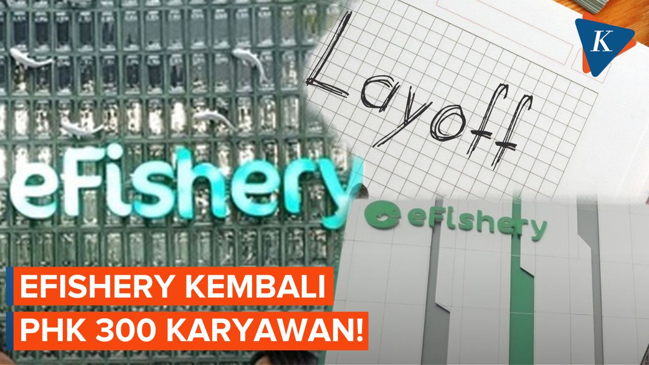 Video: eFishery Dikabarkan Kembali PHK 300 Karyawan, Hanya Selang Sebulan
