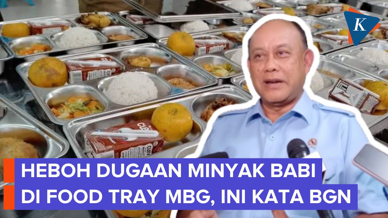 Heboh Wadah MBG Diduga Mengandung Minyak Babi, Ini Kata Badan Gizi Nasional