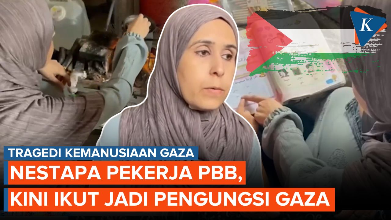 Nestapa Pekerja PBB: Dulu Berjuang Bantu Gaza, Kini Ikut Jadi Pengungsi