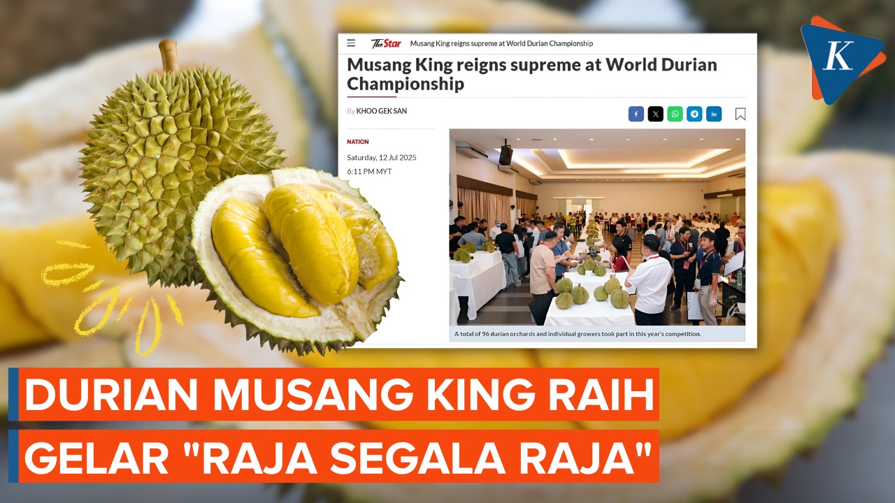 Video: Musang King Raih Gelar "Raja Segala Raja" di Kejuaraan Durian 2025