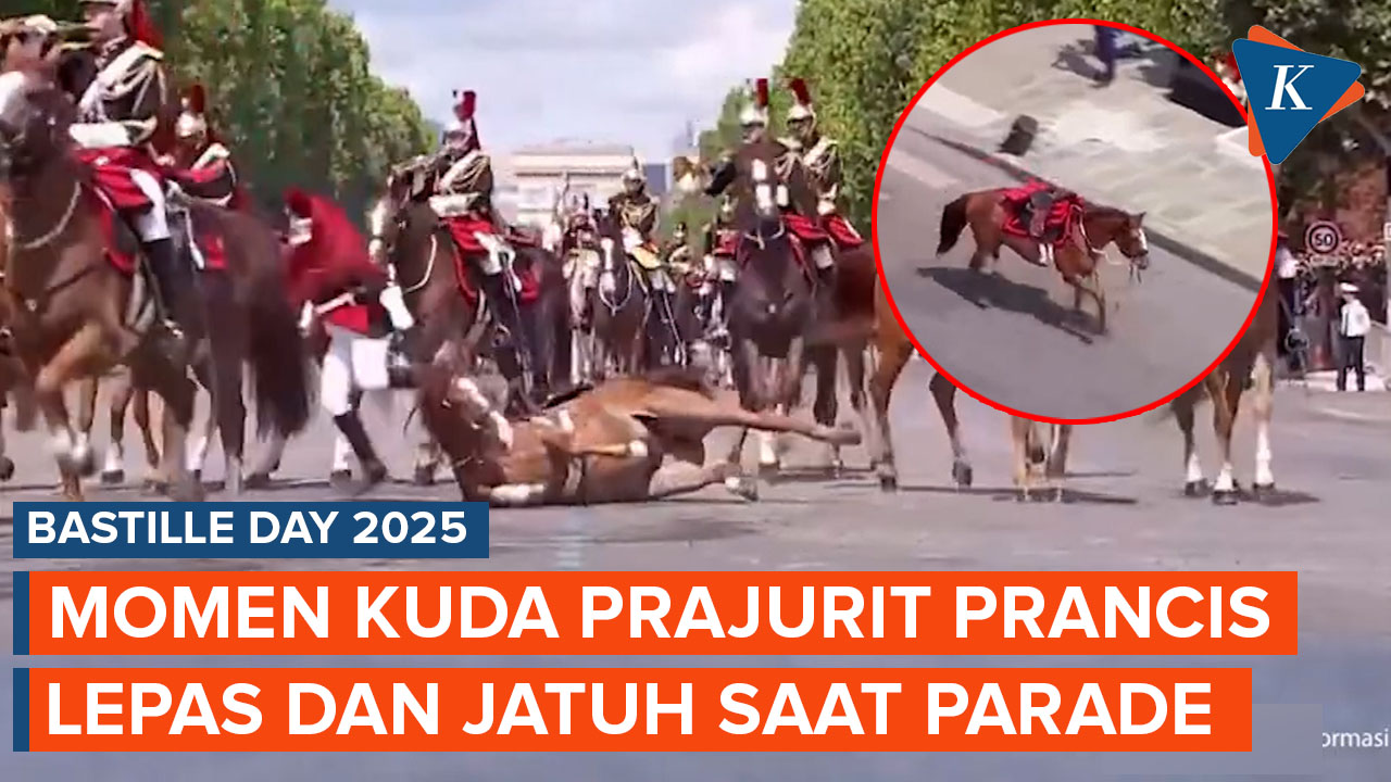Video: Detik-detik Kuda Lepas dan Jatuh dalam Parade Bastille Day di Perancis