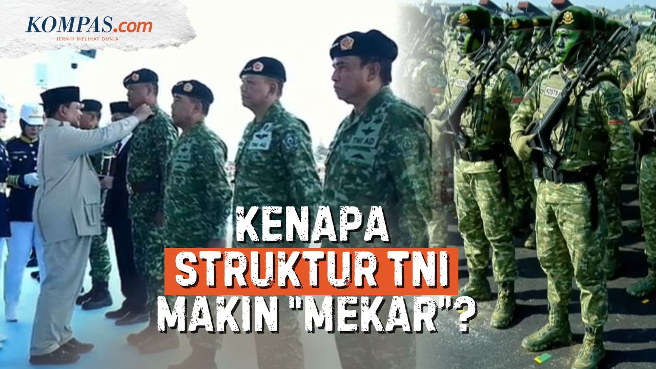 TNI Makin “Mekar”, Ada Apa di Balik Perluasan Struktur Militer ...