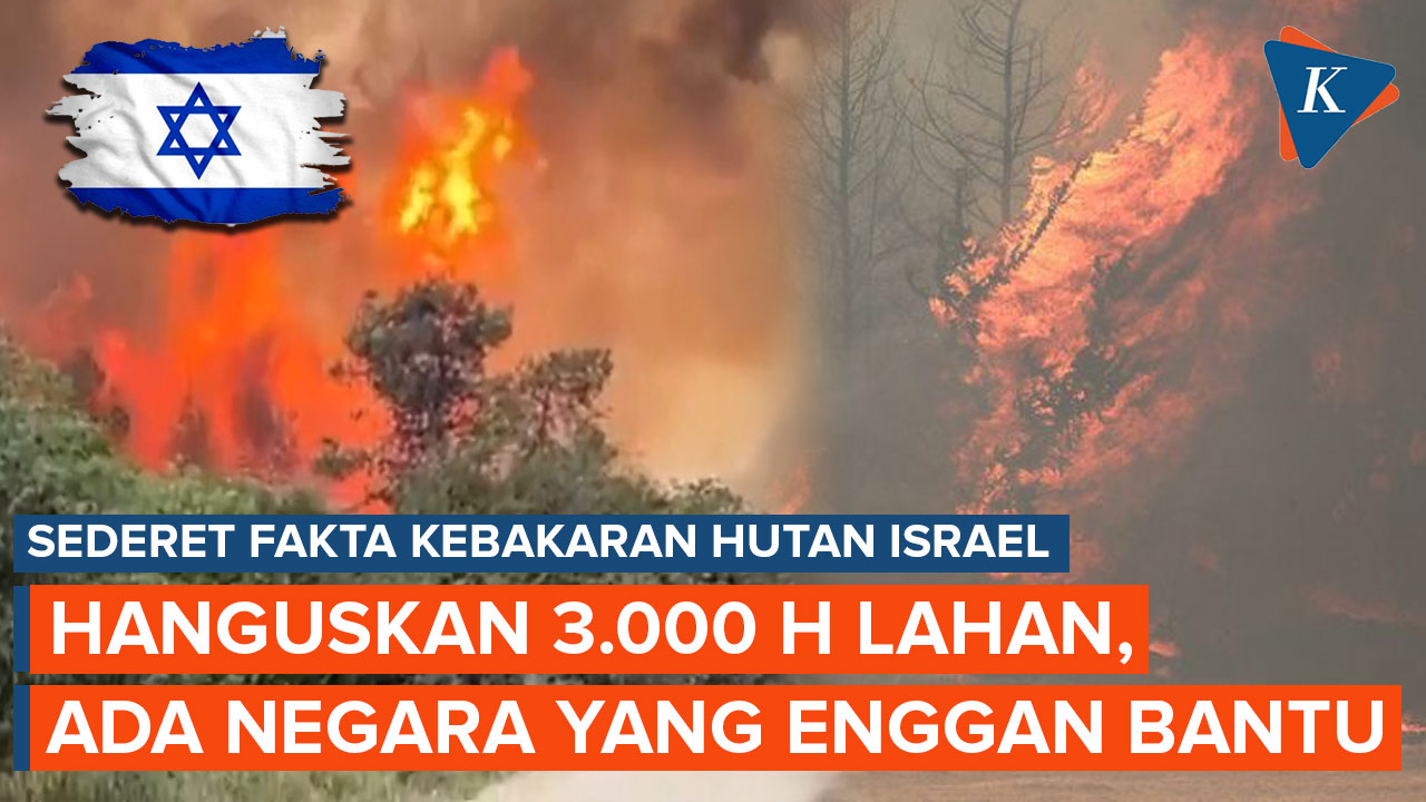 Fakta Kebakaran Hutan Israel, 3.000 Hektare Lahan Hangus, 2 Negara Tak ...