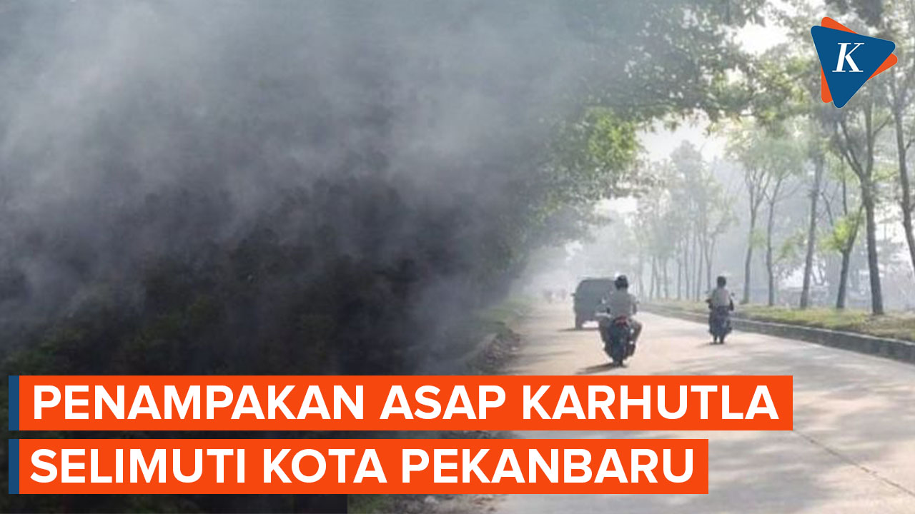 Asap Kebakaran Hutan Selimuti Jalanan Pekanbaru, Ini Penampakannya