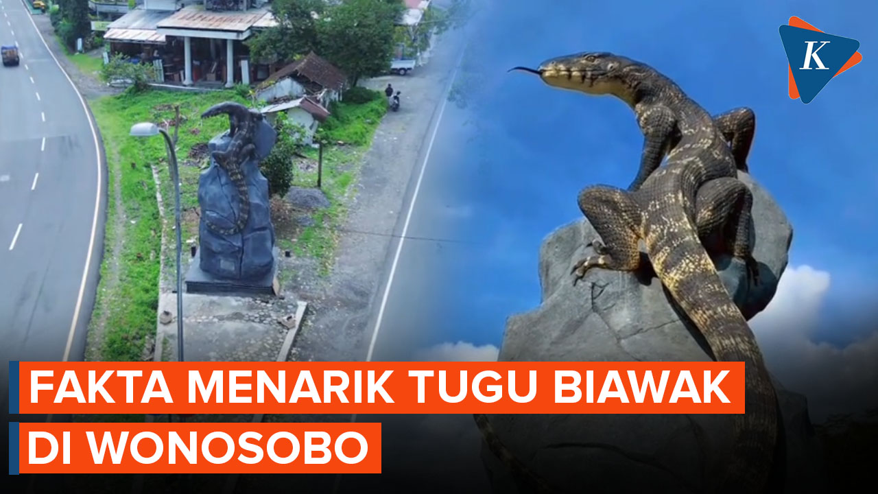 4 Fakta Tugu Biawak di Wonosobo, Dibuat dengan Dana Rp 50 Juta