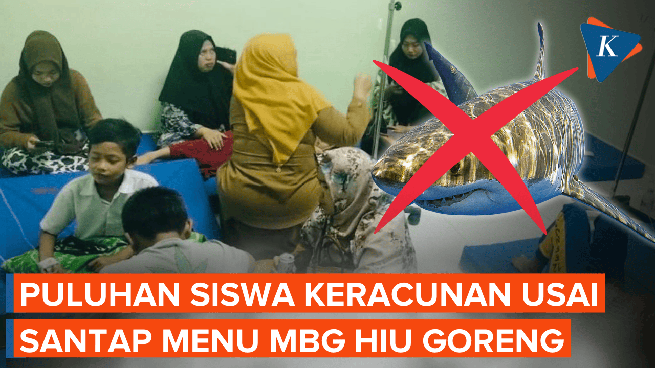 Ternyata Ada Hiu Goreng dalam Menu MBG yang Bikin Siswa SD di Ketapang Keracunan