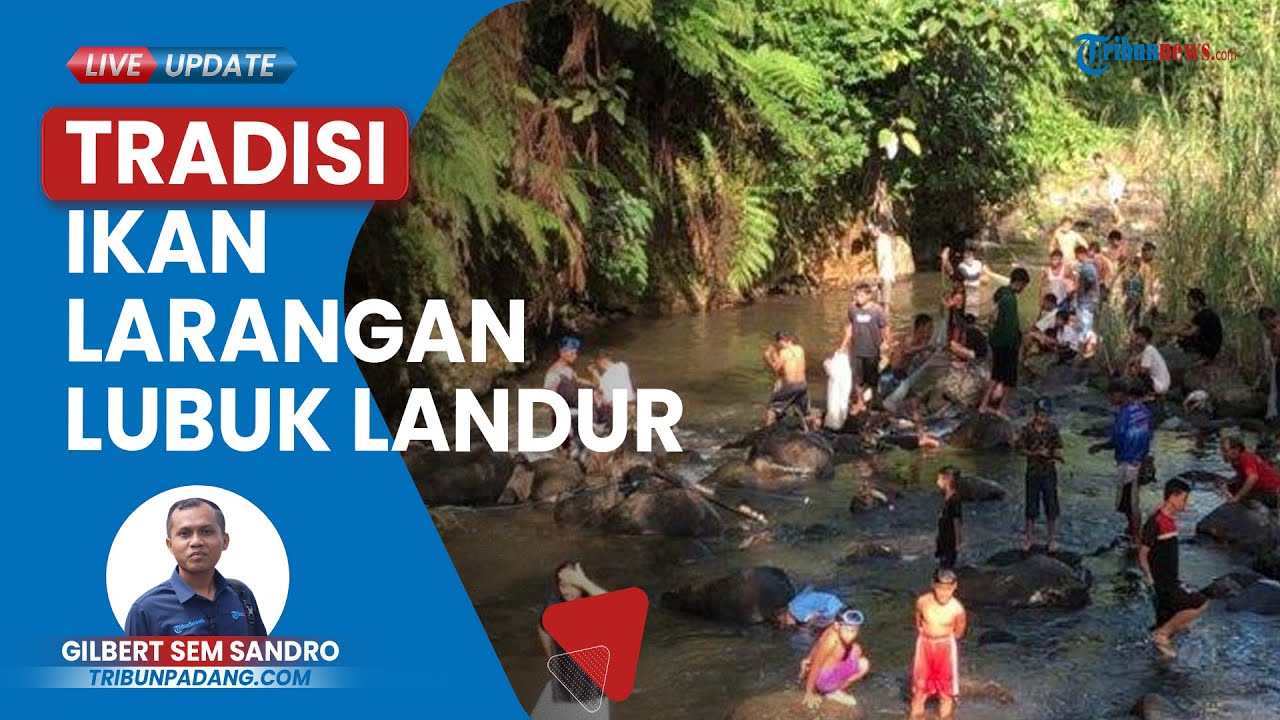 Video: Tradisi Ikan Larangan Lubuk Landur di Pasaman Barat Telah ...