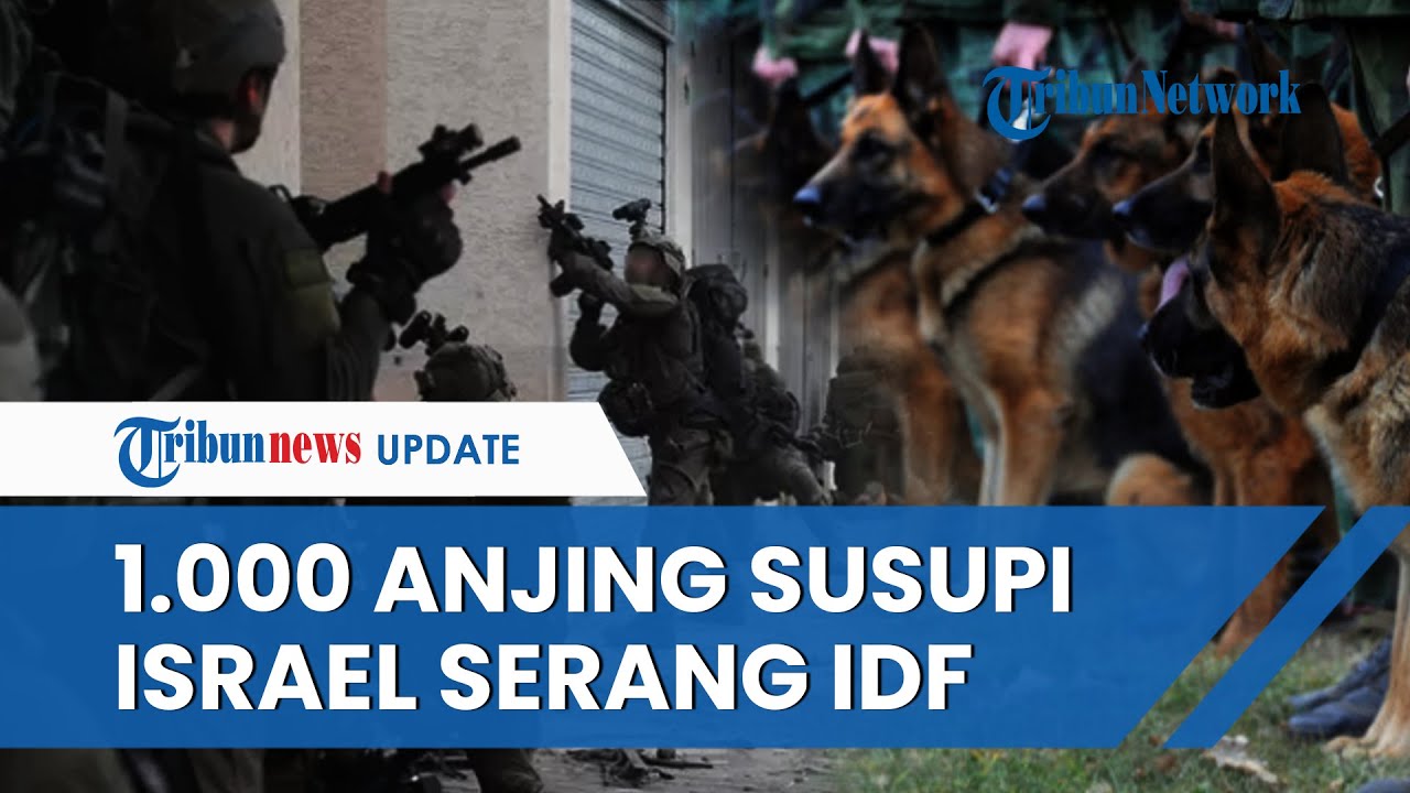 Video: Rangkuman Hari ke-133 Israel-Hamas: Tentara Israel Diserang 1. ...
