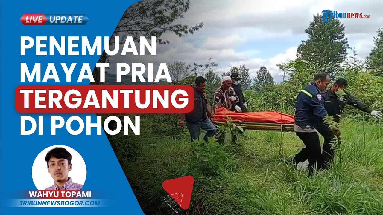 Video: Geger, Pencari Rumput Temukan Pria Tergantung di Pohon ...