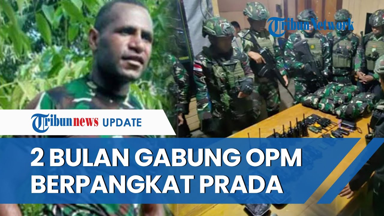 Video: Sosok Danis Murib, Oknum TNI yang Membelot Jadi OPM Ditembak ...