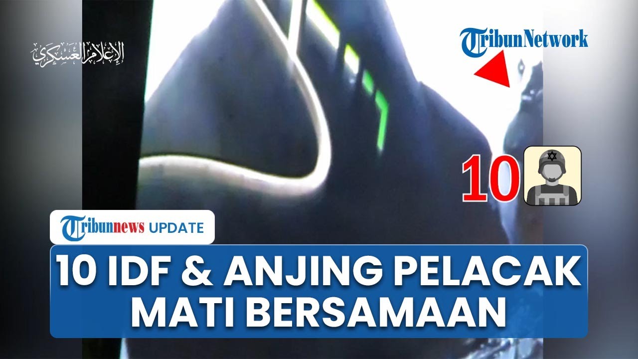 Video: 10 Tentara Israel & Anjing Pelacaknya Tewas Tertumpuk di Gedung ...