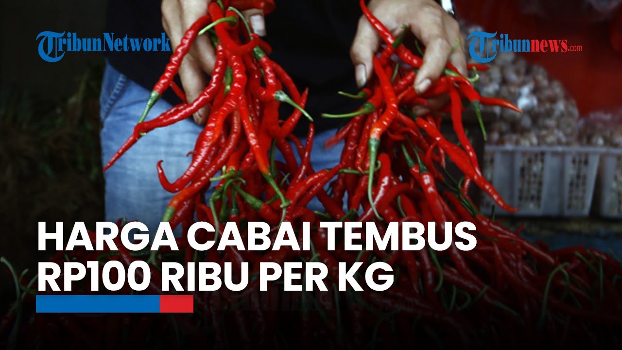 Video: Persoalan Beras Belum Rampung, Harga Cabai Kini Makin Mahal Tembus Rp100 Ribu per Kg