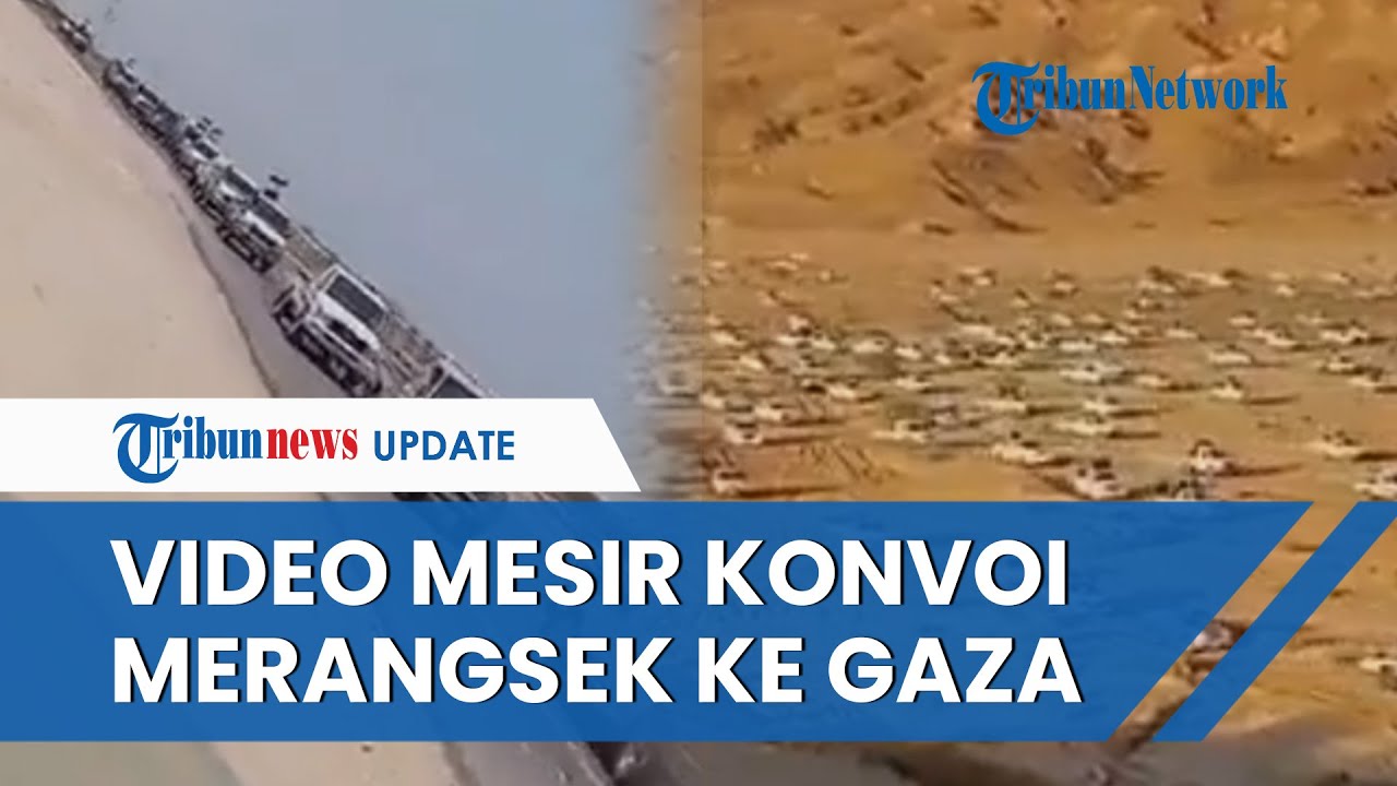 Video: Mesir 'TURUN GUNUNG' ke Gaza, Ratusan Mobil Konvoi Bela Palestina hingga Desak Israel ...