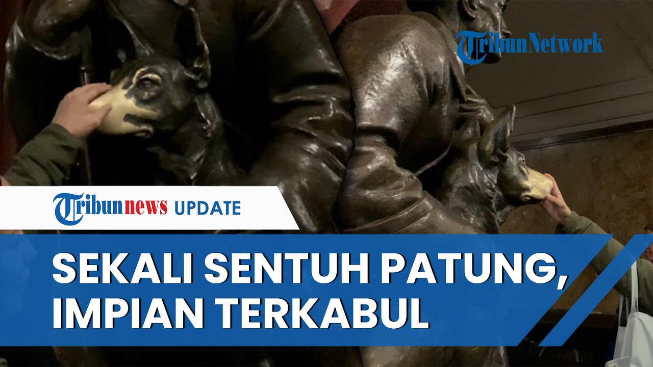 Video: Sentuh Hidung Anjing yang Digandeng Tentara Ini, Keinginan ...