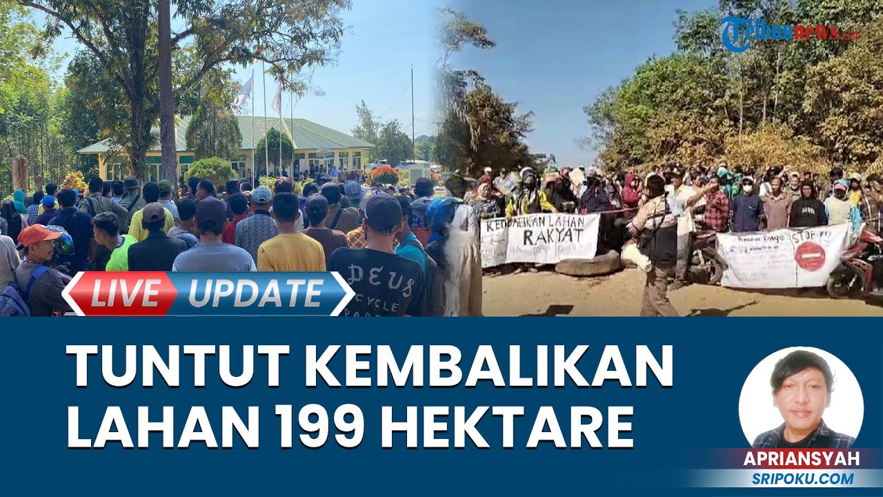 Video: Warga Talang Ubi PALI Tuntut PT MHP Kembalikan Lahan Seluas 199 ...