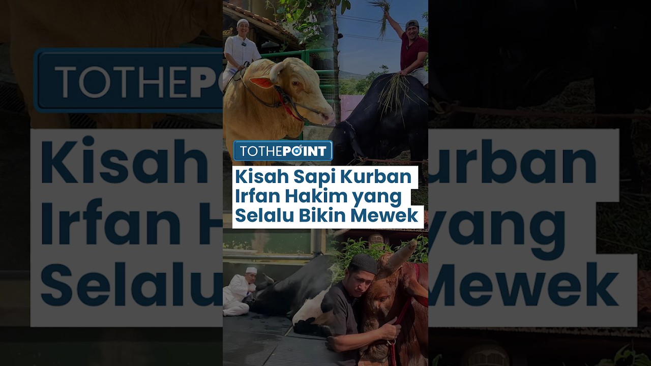 Video: Selalu Buat Nangis, Ini 4 Kisah Sapi Kurban Irfan Hakim yang ...